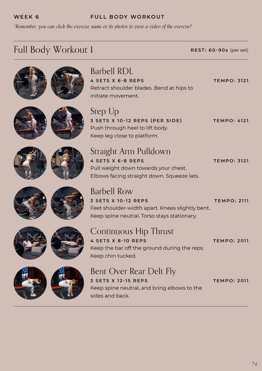 Fat Loss Guide - 6 Week Gym Program – GAINSBYBRAINS